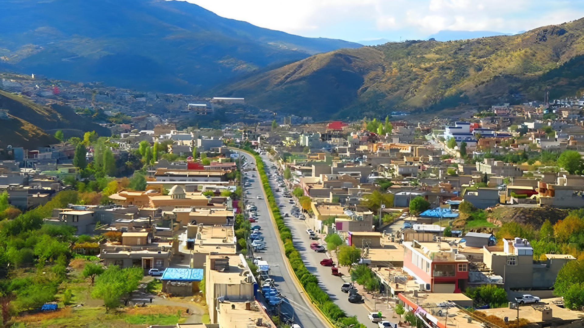 لە سۆران داوا دەكرێت لەگەڵ لەدایكبوونی هەر منداڵێك دارێك بچێندرێت - AVA News