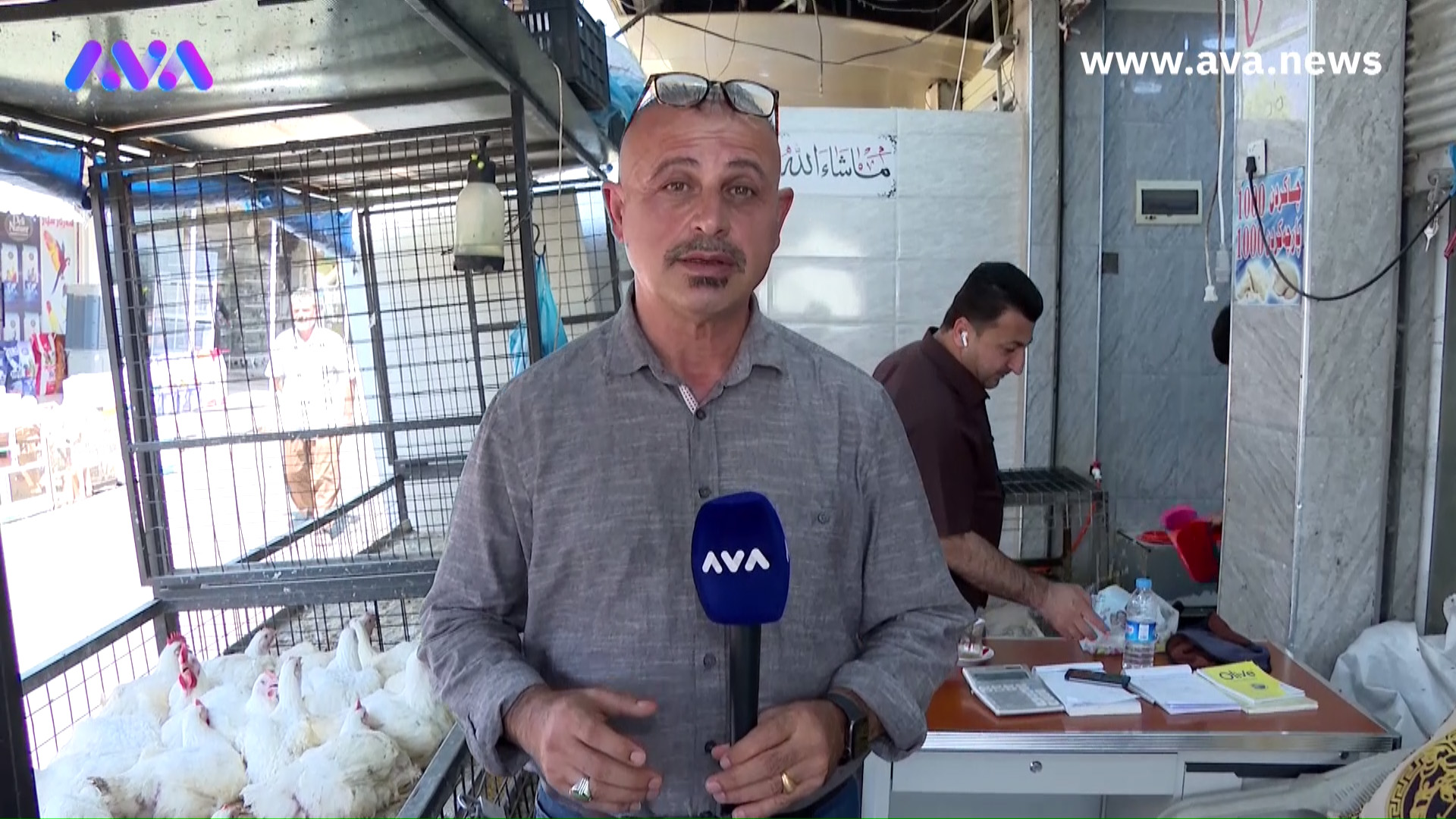 بەدواداچوونی ڕزگار کۆچەر لەبارەی گرانبوونی نرخی مریشک - AVA News